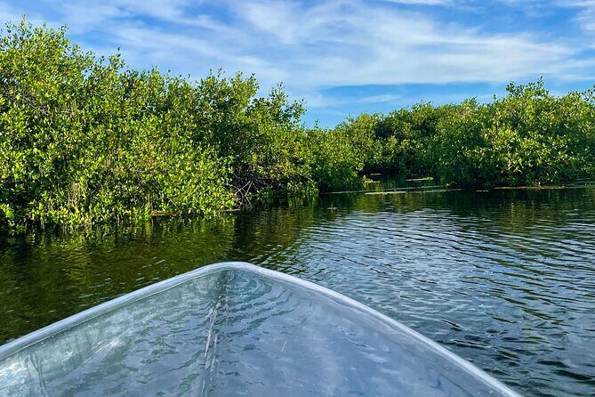 Sip & Sea Mangrove Glass Boat Tour Grand Turk Island - The Sum Up