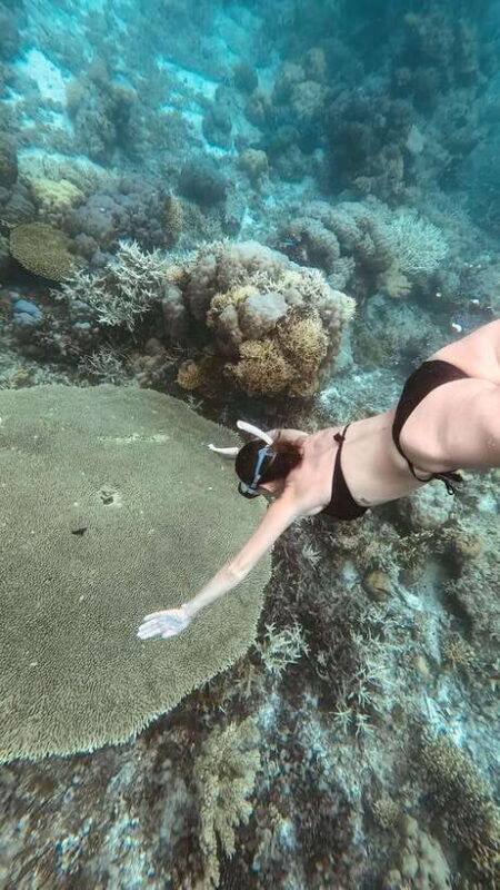 Siquijor: Freediving Adventure with Lunch and Beach Time - Final Thoughts: Is It Worth It?