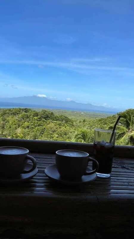 Siquijor Full day ( Private Tour ) Experience - Key Points