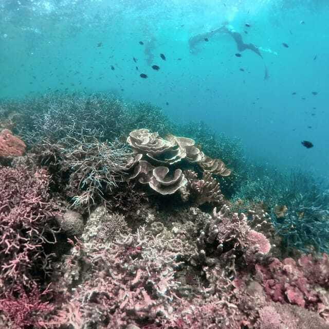 Siquijor: Jeepney Island Tour with Snorkeling - Whats Included & Whats Not