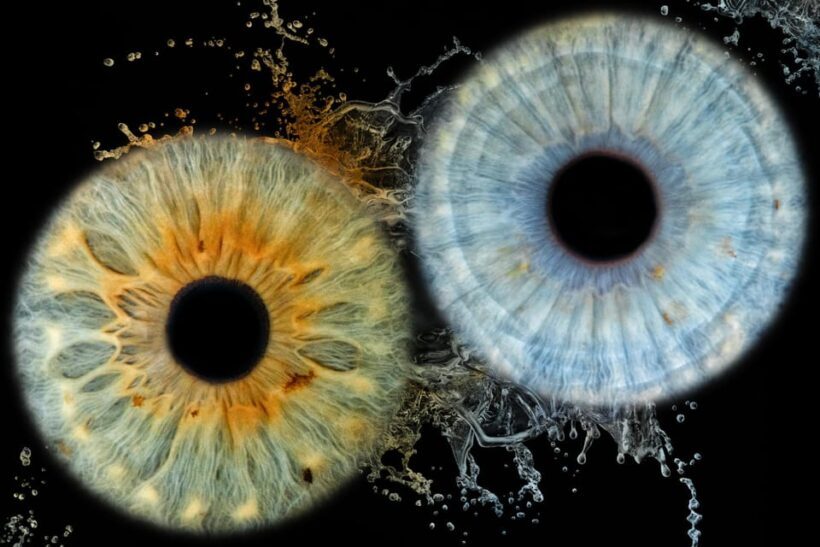 Siracusa Iris Photography Experience - Introduction