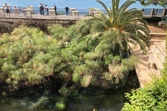 Siracusa & Noto: Small Group Tour From Taormina - Key Points