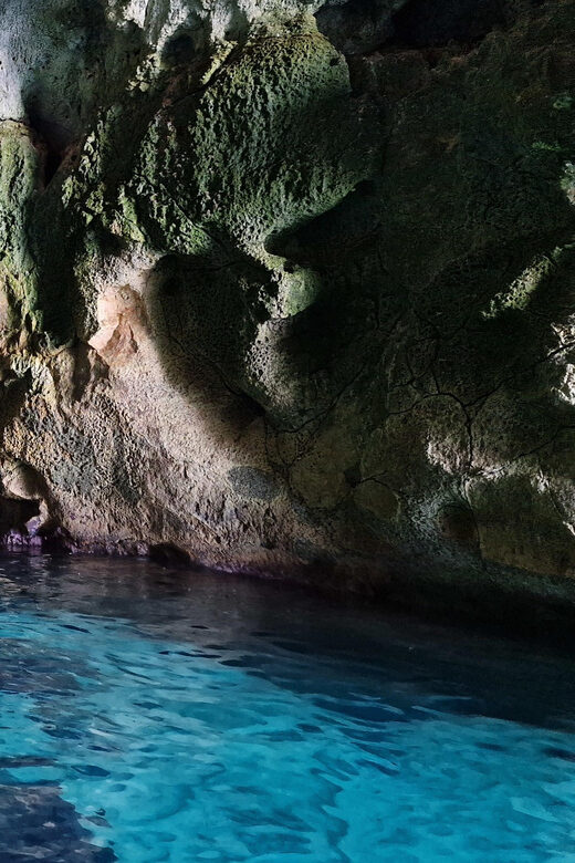 Siracusa: Ortigia & Sea Caves Speedboat Tour with Swim Stop - What Travelers Say