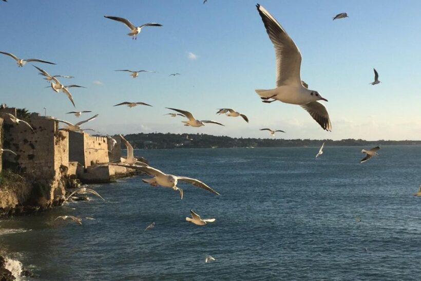 Siracusa: Ortygia Island Boat Tour with Grotto Visit - In-Depth Look at the Experience