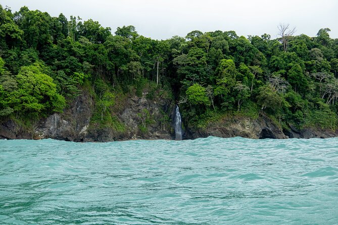 Sirena Station, Corcovado National Park Day Trip From Quepos. - Wildlife Encounters