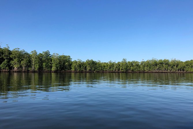 Sirena Station, Corcovado National Park Day Trip From Quepos. - Knowledgeable Guides