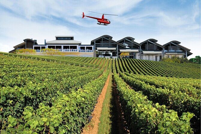 Sirromet Winery + CBD & Mt Coot-tha Private Helicopter Experience - The Experience in Detail
