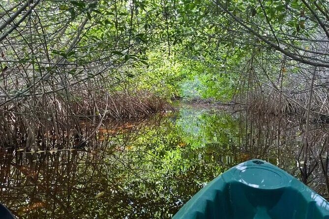 Sisal & Mangroves Kayak Tour from Merida - Who Will Love This Tour?