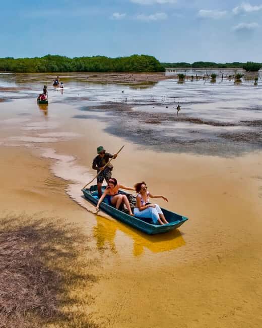 Sisal Yucatán: Flamingo Safari Tour Mangroves - Key Points