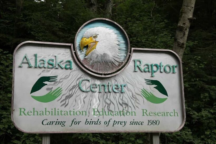 Sitka: Alaska Raptor Center Admission Ticket - The Sum Up: A Worthwhile Visit for Wildlife Enthusiasts