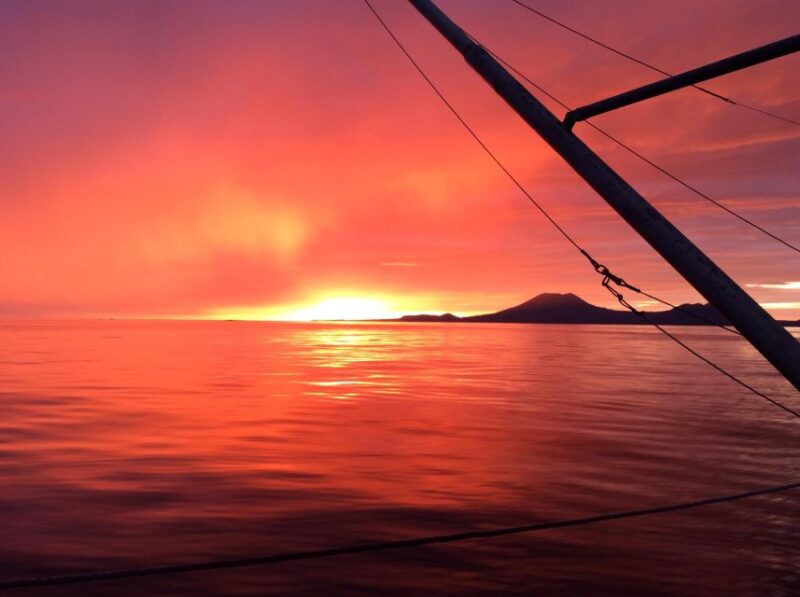 Sitka Boat Tours: whale watching, hot springs, kayaking - Who Will Love This Tour?