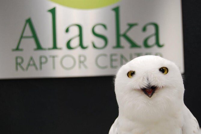 Sitka Premium Tour- Private- Alaska Raptor Center, Fortress of the Bears,Totems - Additional Tips