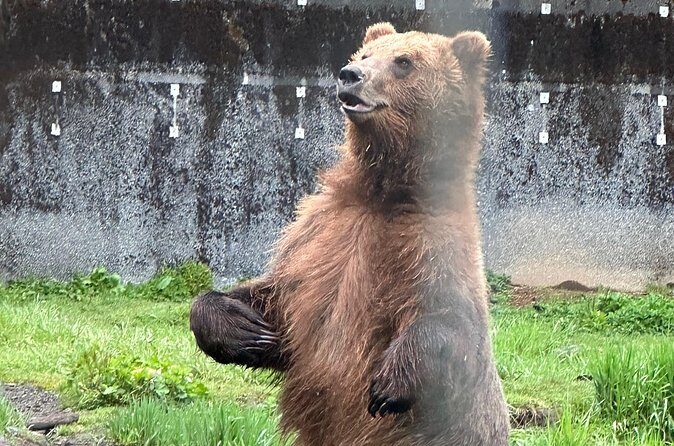 Sitka Scenic Private Tour - Transportation and Logistics