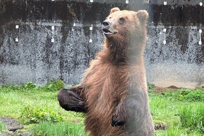 Sitka Scenic Private Tour - Who Should Consider This Tour?