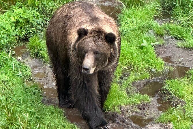 Sitka Scenic Private Tour - FAQs