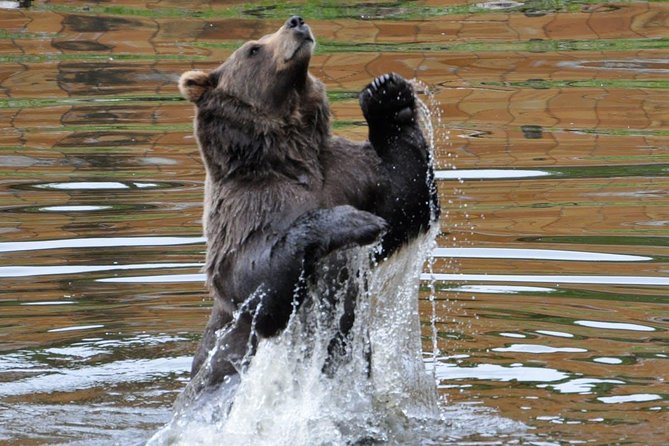 Sitka Scenic Tour - Practical Details: What You Need to Know