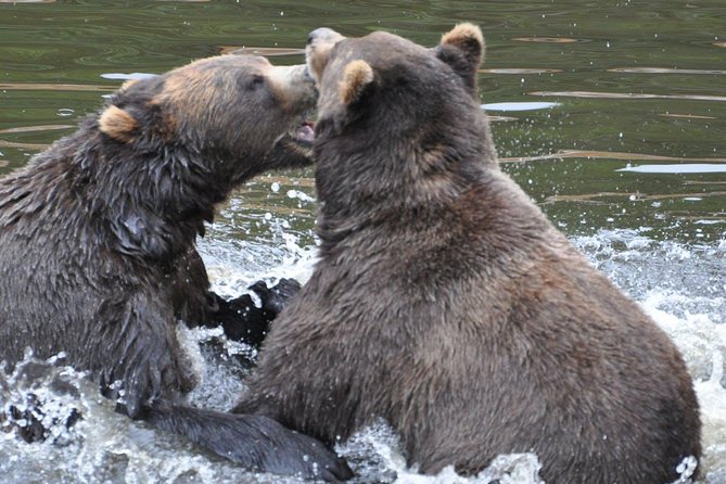 Sitka Sightseeing Tour Including Fortress of the Bear and Totem Poles - Additional Information and Tips for Travelers
