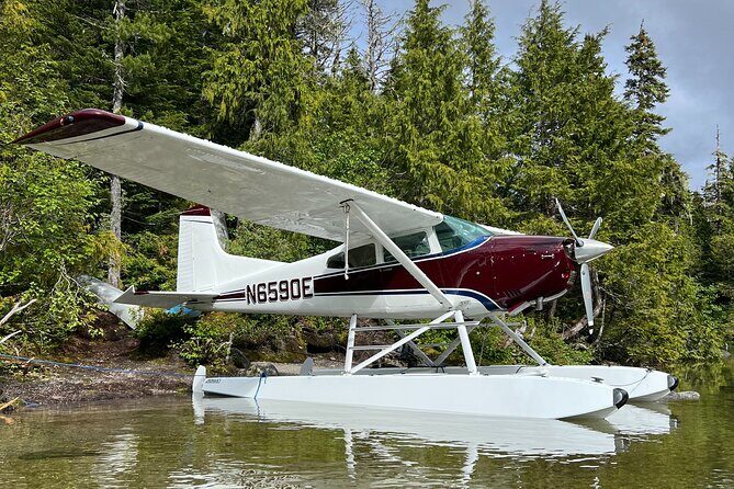 Sitka Sound Private Seaplane Tour Experience - The Experience: An In-Depth Look