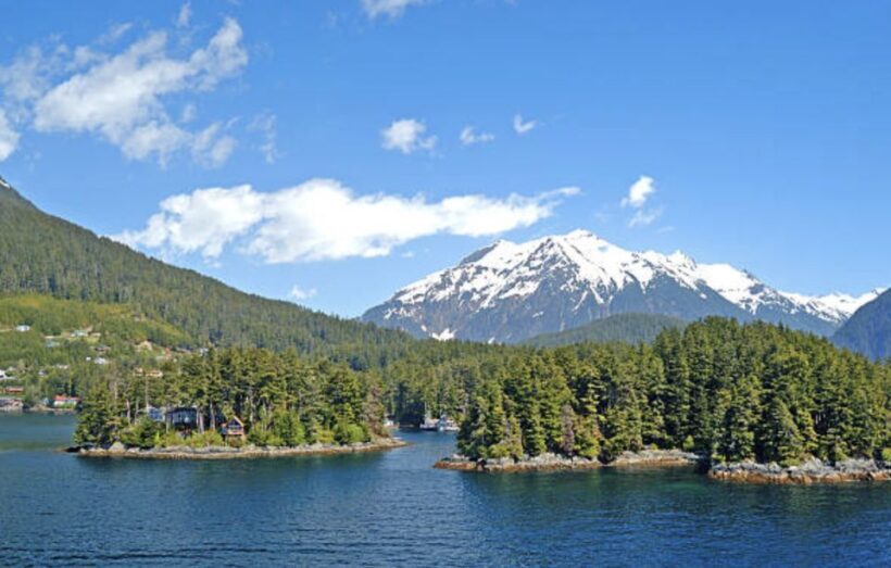 Sitka: Totem Poles, Raptor Centre, & Fortress of Bears Tour - Who Will Love This Tour?