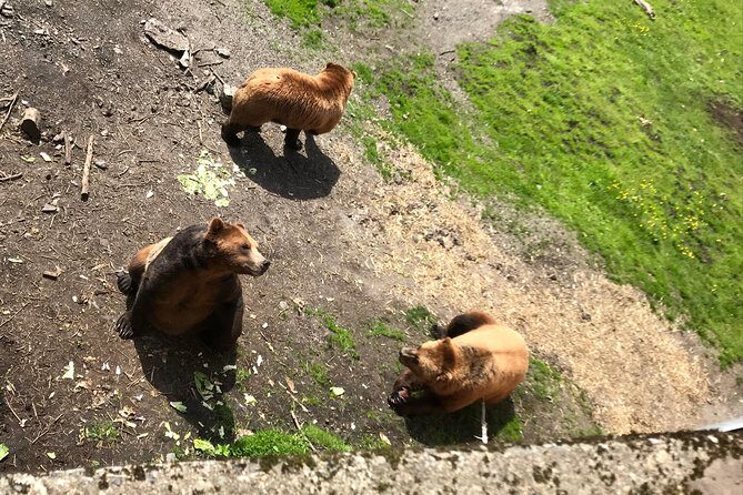 Sitka's only Private Simply Amazing Tour - Deep Dive: What Makes This Tour Stand Out?