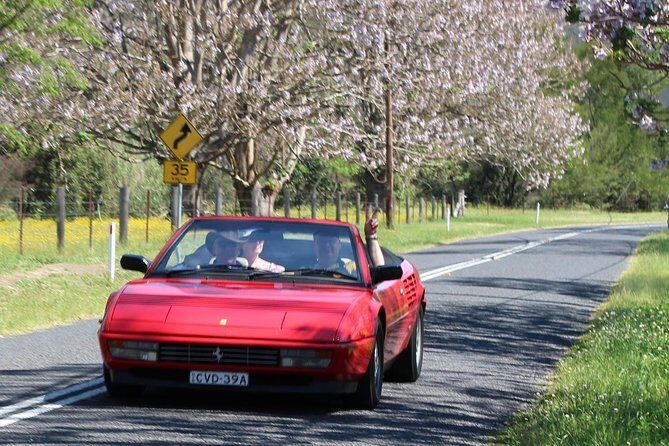 Six-Bridges-of-Sydney-Vintage-Car-Ride-Experience - What Do the Reviews Say?