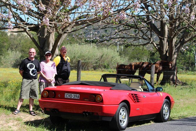 Six-Bridges-of-Sydney-Vintage-Car-Ride-Experience - Who Should Consider This Tour?
