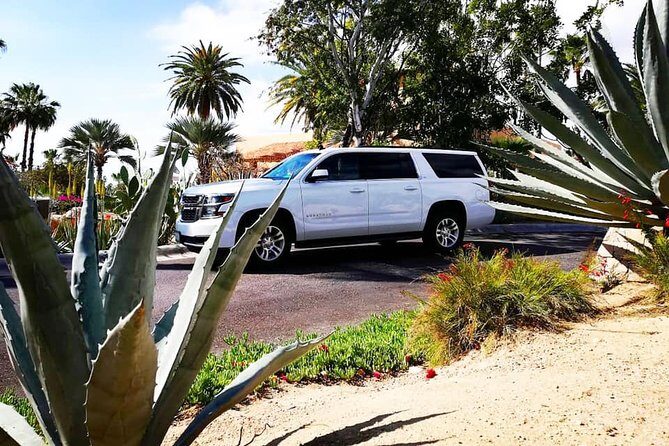 SJD Airport to Cabo San Lucas - One way service - Who is this service best for?