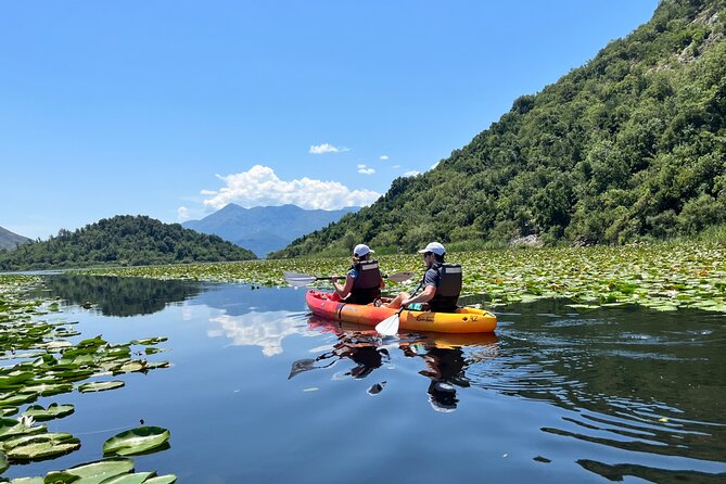 Skadar Lake: 4-Hour Guided tours on Kayak - Who Should Consider This Tour?