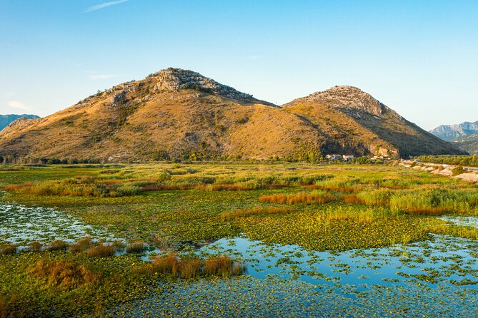 Skadar Lake: Guided Sightseeing Boat Tour With Refreshments - Traveler Feedback and Experience