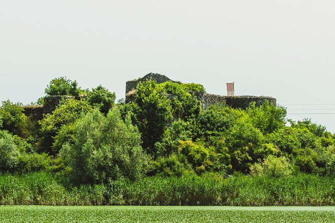 Skadar Lake: Guided Sightseeing Boat Tour With Refreshments - Exploring the Natural Beauty of Lake Skadar