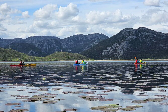Skadar Lake on Kayaks Experience With Spectacular Views - Key Points