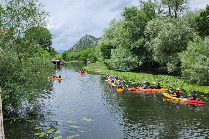 Skadar Lake on Kayaks Experience With Spectacular Views - Pricing and Cancellation