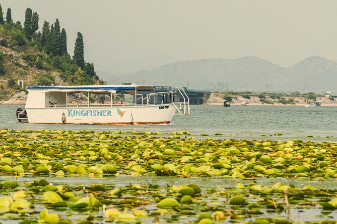 Skadar Lake Short Guided Tour: Discover the Montenegrin Alcatraz - Discovering Skadar Lake: A Quick Guided Tour Worth Your Time