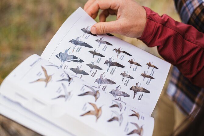 Skagit Valley Birding + Deception Pass Day Tour From Seattle - An Extensive Look at the Tour Experience