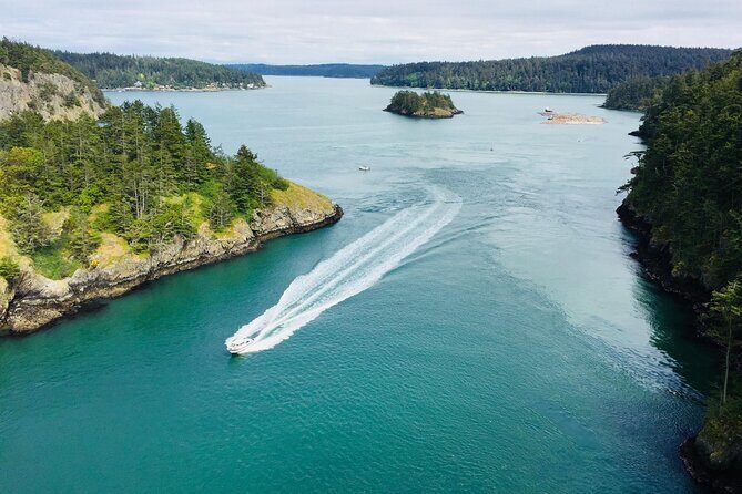 Skagit Valley Birding + Deception Pass Day Tour From Seattle - Who Should Consider This Tour?