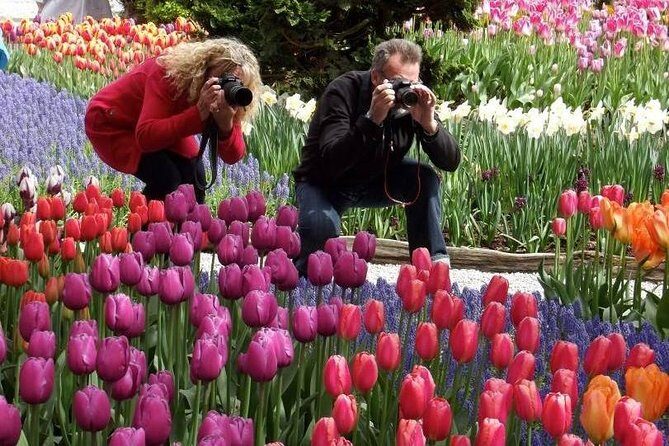 Skagit Valley Tulip Festival Day Tour from Seattle - Key Points