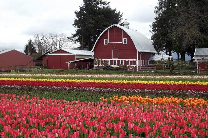 Skagit Valley Tulip Festival Day Tour from Seattle - Notes from Travelers