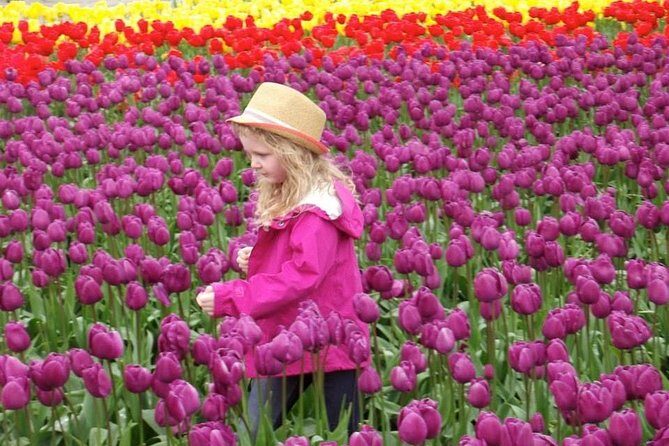 Skagit Valley Tulip Festival Day Tour from Seattle - FAQ