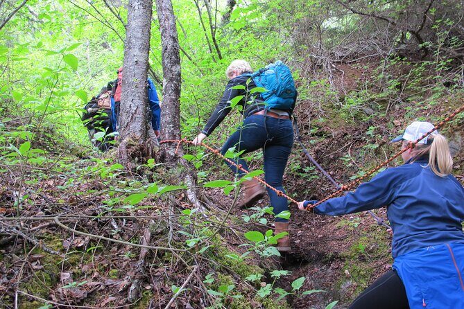 Skagway Adventure Hike - A Tour That Combines Thrills and Scenic Beauty