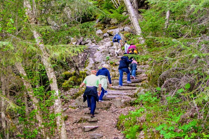 Skagway Shore Excursion Chilkoot Trail Hike and Float Tour - Authentic Experiences and Traveler Feedback