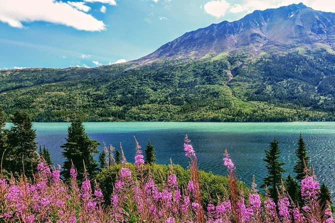 Skagway Shore Excursion: Full-Day Tour of the Yukon - FAQ