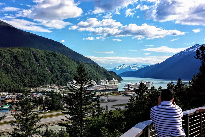 Skagway Shore Excursion: White Pass Summit and Skagway City Tour - A Deep Dive into the Tour Experience