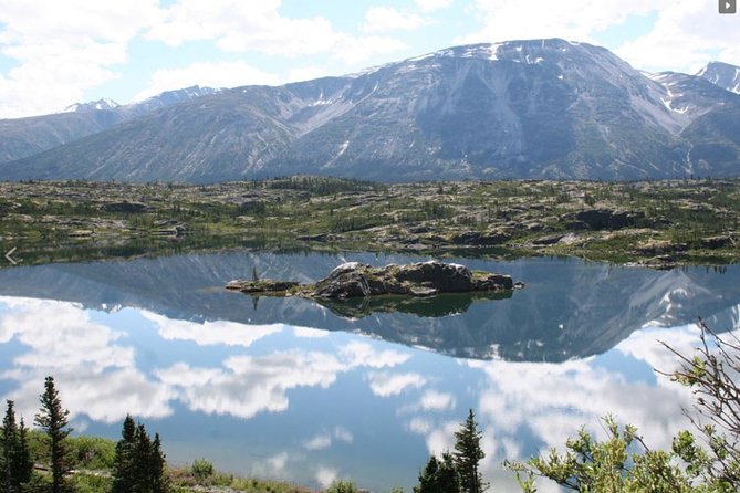 Skagway Shore Excursion: Yukon Dog Sledding and Sightseeing Tour - The Sum Up