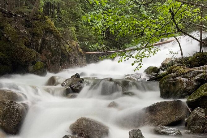 Skagway Waterfall Tour - Final Thoughts: Is It Worth It?