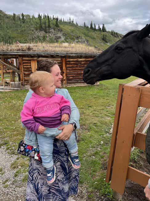 Skagway: Yukon Discovery Tour - Practical Details and Value