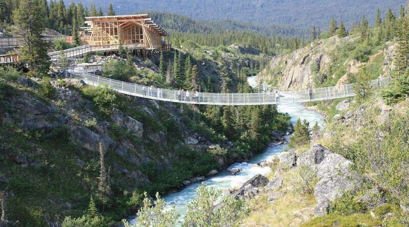 Skagway: Yukon Suspension Bridge & Summit Tour - A Closer Look at the Skagway Yukon Suspension Bridge & Summit Tour