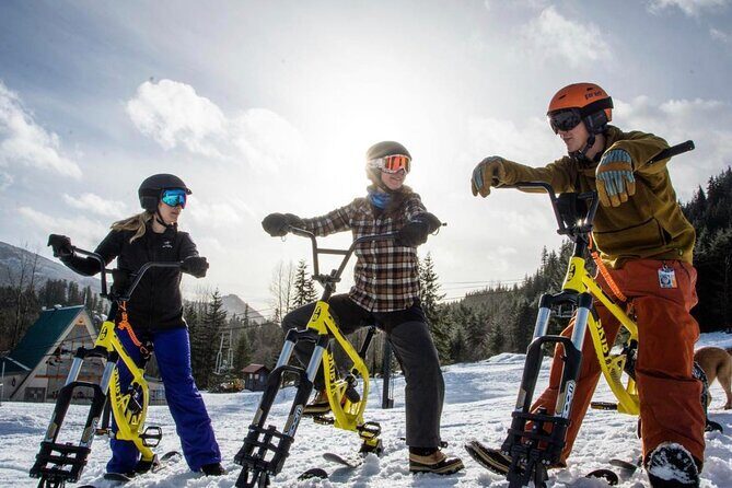 Ski Bike Rental in South Lake Tahoe - What Past Customers Say