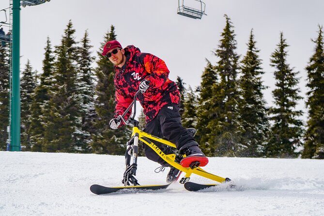 Ski Bike Rental in South Lake Tahoe - Who Would Enjoy This Experience?