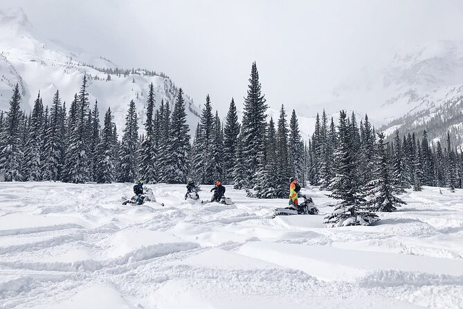 Ski-doo Snow Safari in Borovets - Final Thoughts