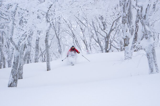 Ski or Snowboard Lesson in Shiga Kogen (4Hours) - Customer Feedback